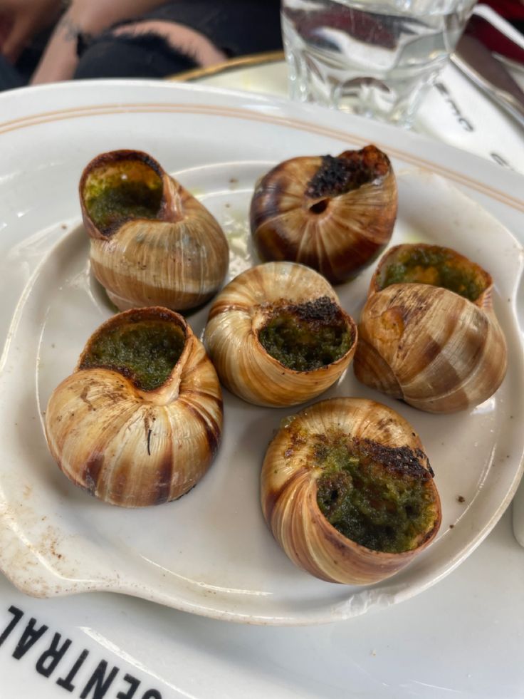 Snails with Parsley Butter: A Classic French Delicacy Made Easy - Mealseat